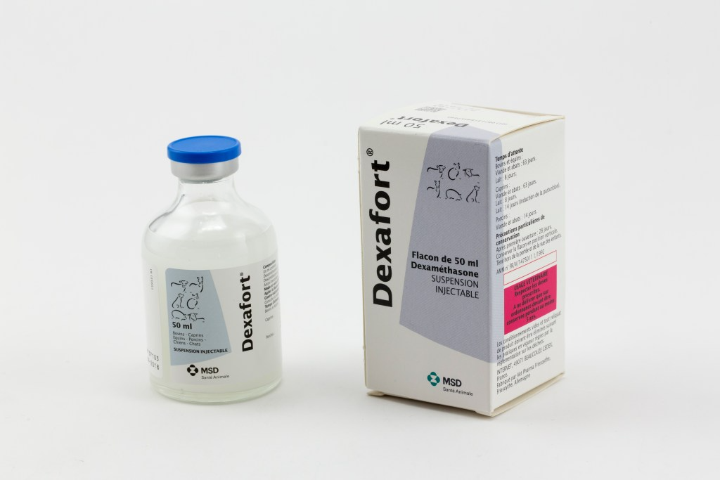 DEXAFORT® Suspension Injectable - MSD Santé Animale France