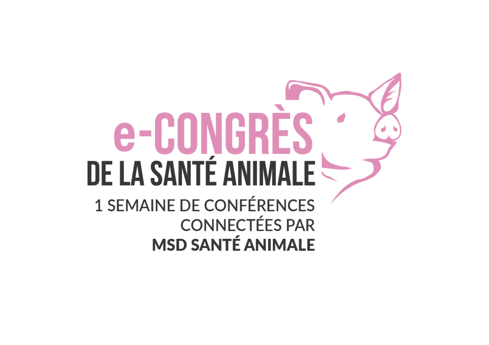 Programme Porcs e-Congrès 2019 - MSD Santé Animale France Programme Porcs e-Congrès 2019 - MSD Santé Animale France