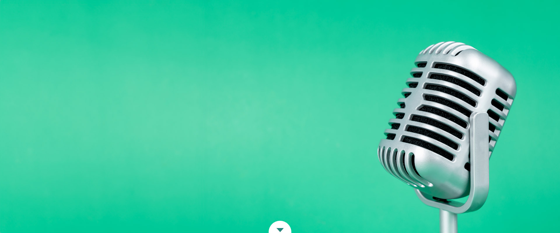 MSD Santé Animale France